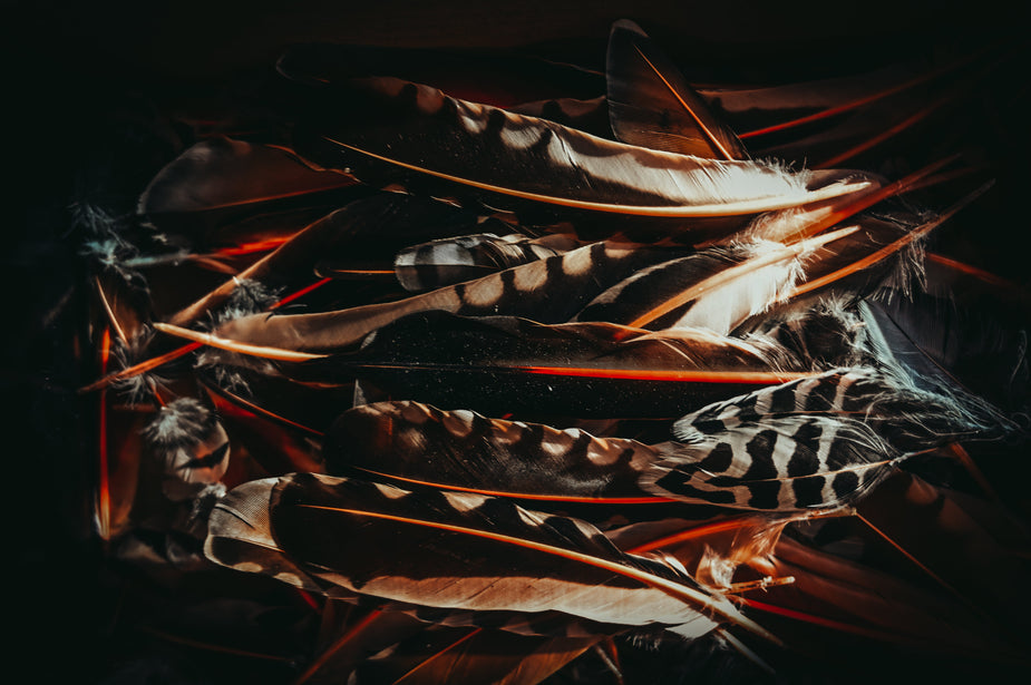 Flicker Collection – Mermery Designs