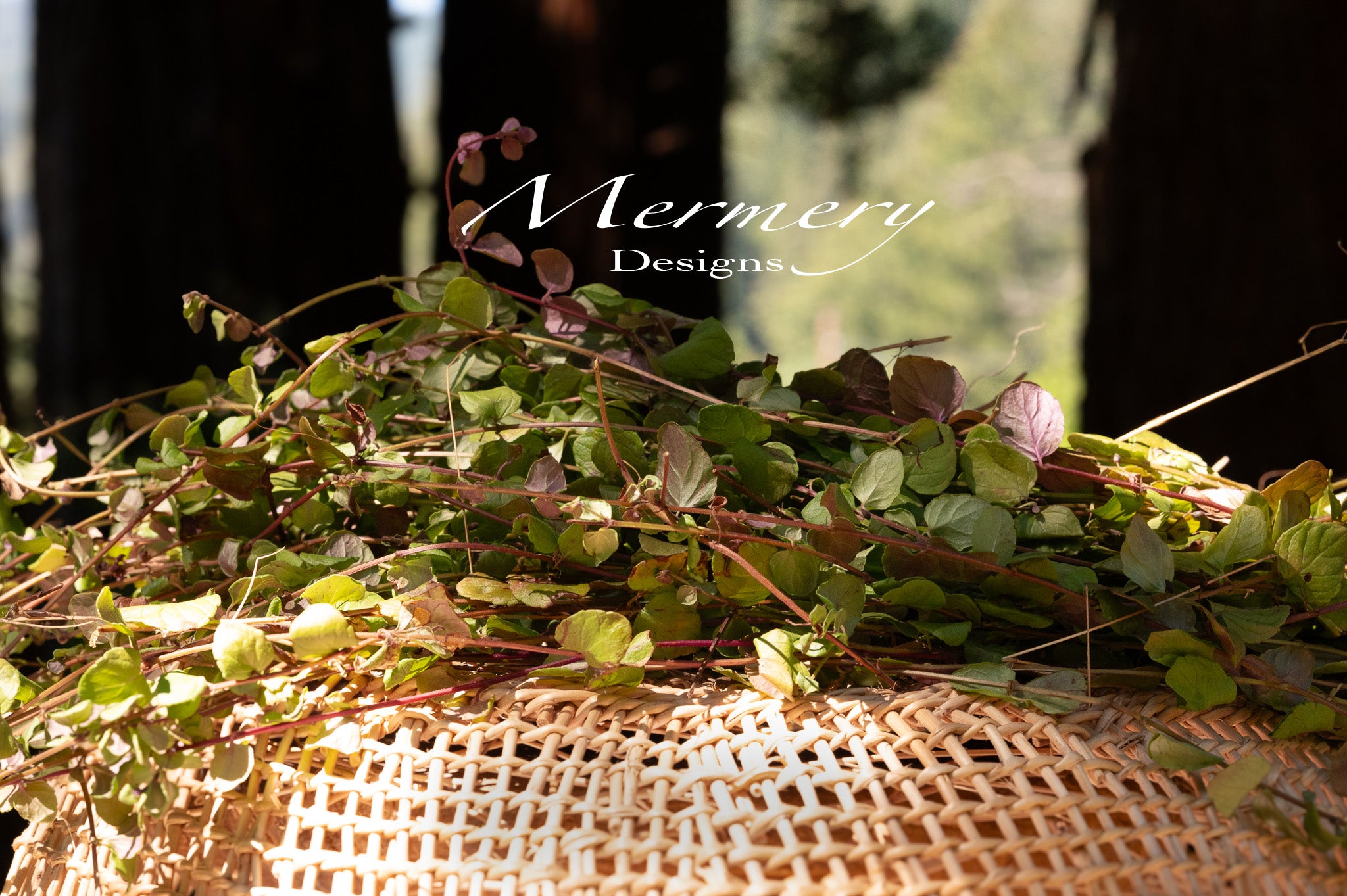 Art, Baskets and Regalia – Mermery Designs